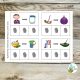 Phonemic Awareness Multisensory Cards Orton-Gillingham Teaching ...
