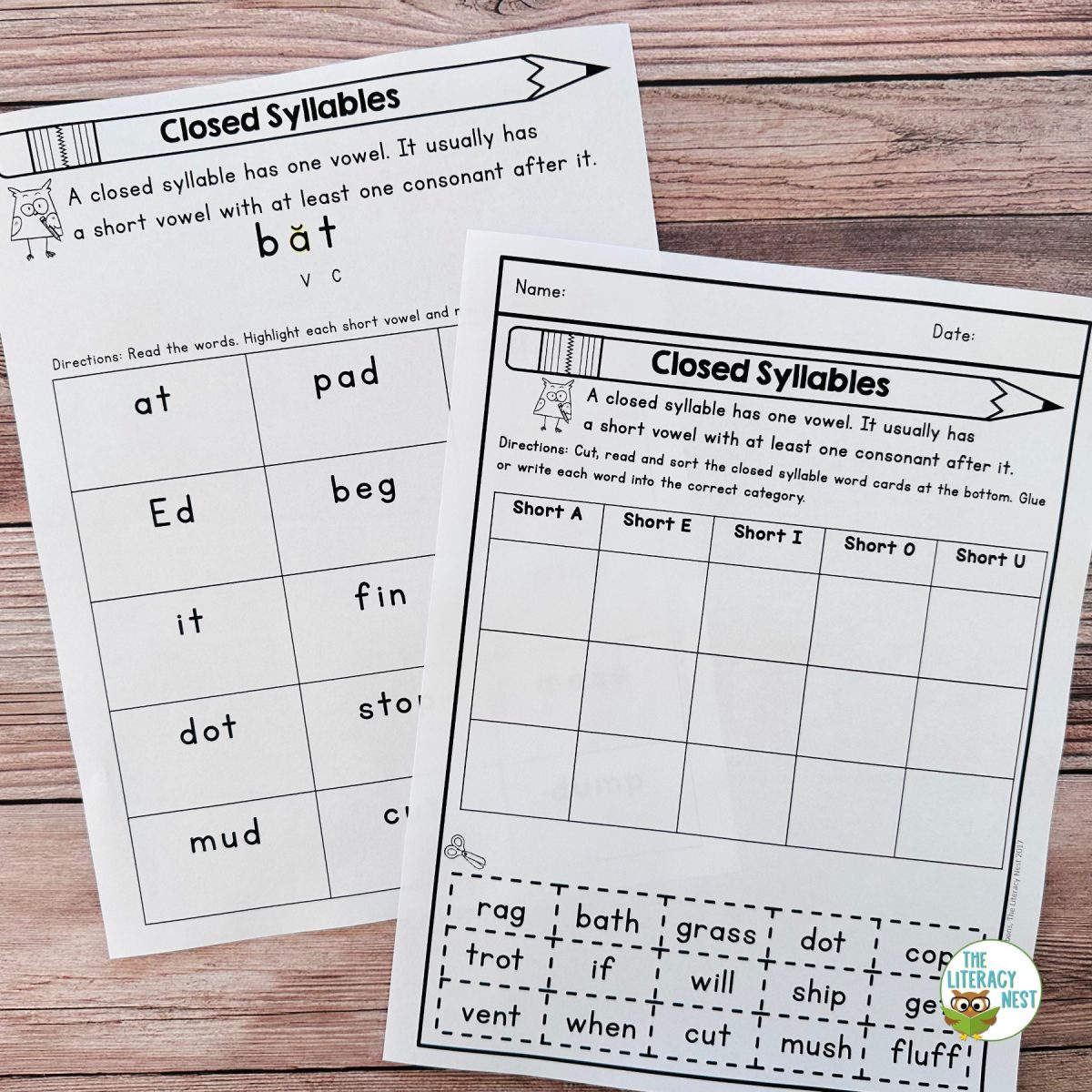 Closed Syllable Activities for Small Group Reading w Orton Gillingham ...