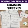 Decodable Passages for Prefixes and Suffixes FREEBIE - The Literacy Nest
