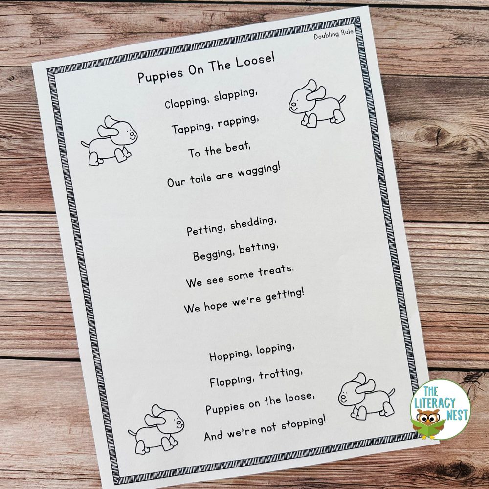 The Doubling Rule Phonics Activities for Orton Gillingham Lessons - The ...