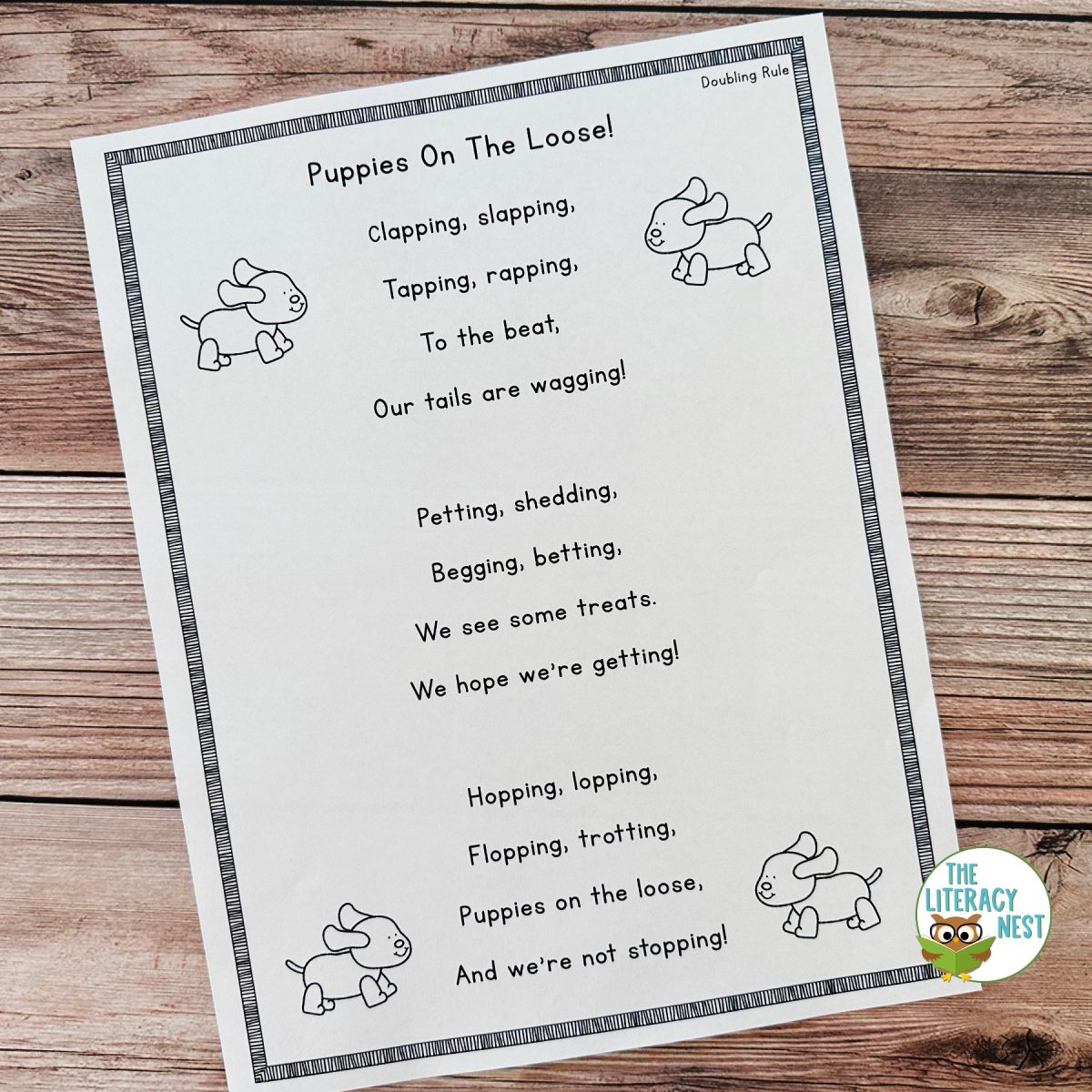 The Doubling Rule Phonics Activities for Orton Gillingham Lessons - The ...