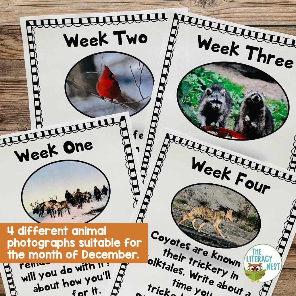 Animal Picture Prompts Writing Activities for December Literacy Centers ...