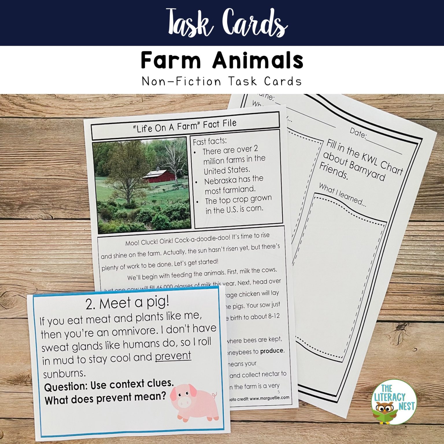 Task Cards: Farm Animals - Informational Nonfiction Literacy Centers ...