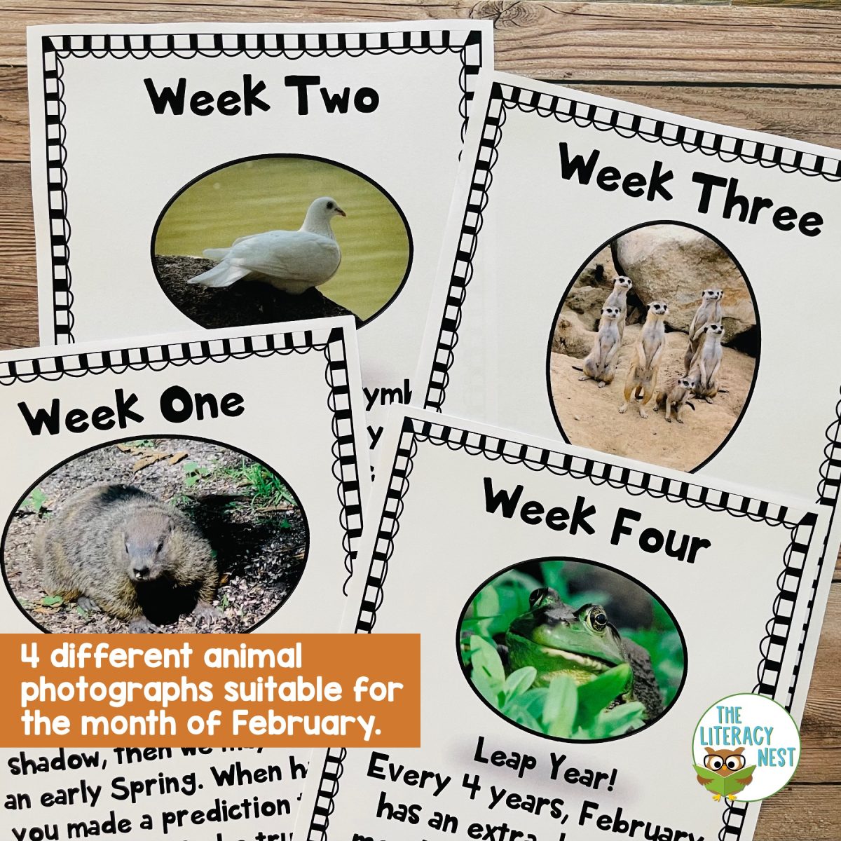 Animal Picture Writing Prompts for February Literacy Centers - The ...