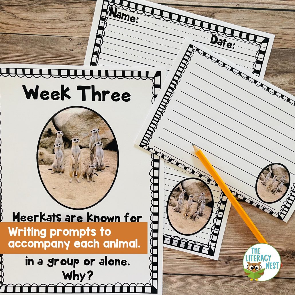 Animal Picture Writing Prompts for February Literacy Centers - The ...