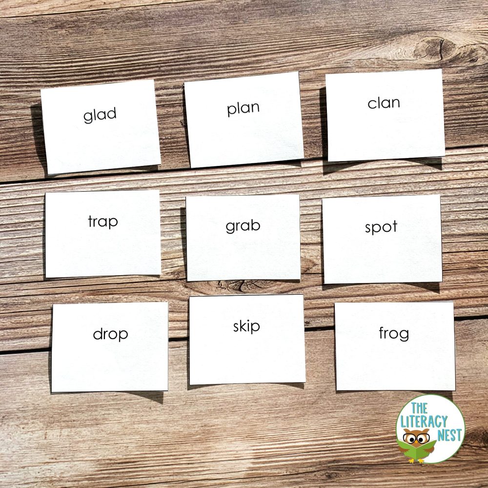 Book Companion Activities for Fox Hunt Decodable Reader - The Literacy Nest