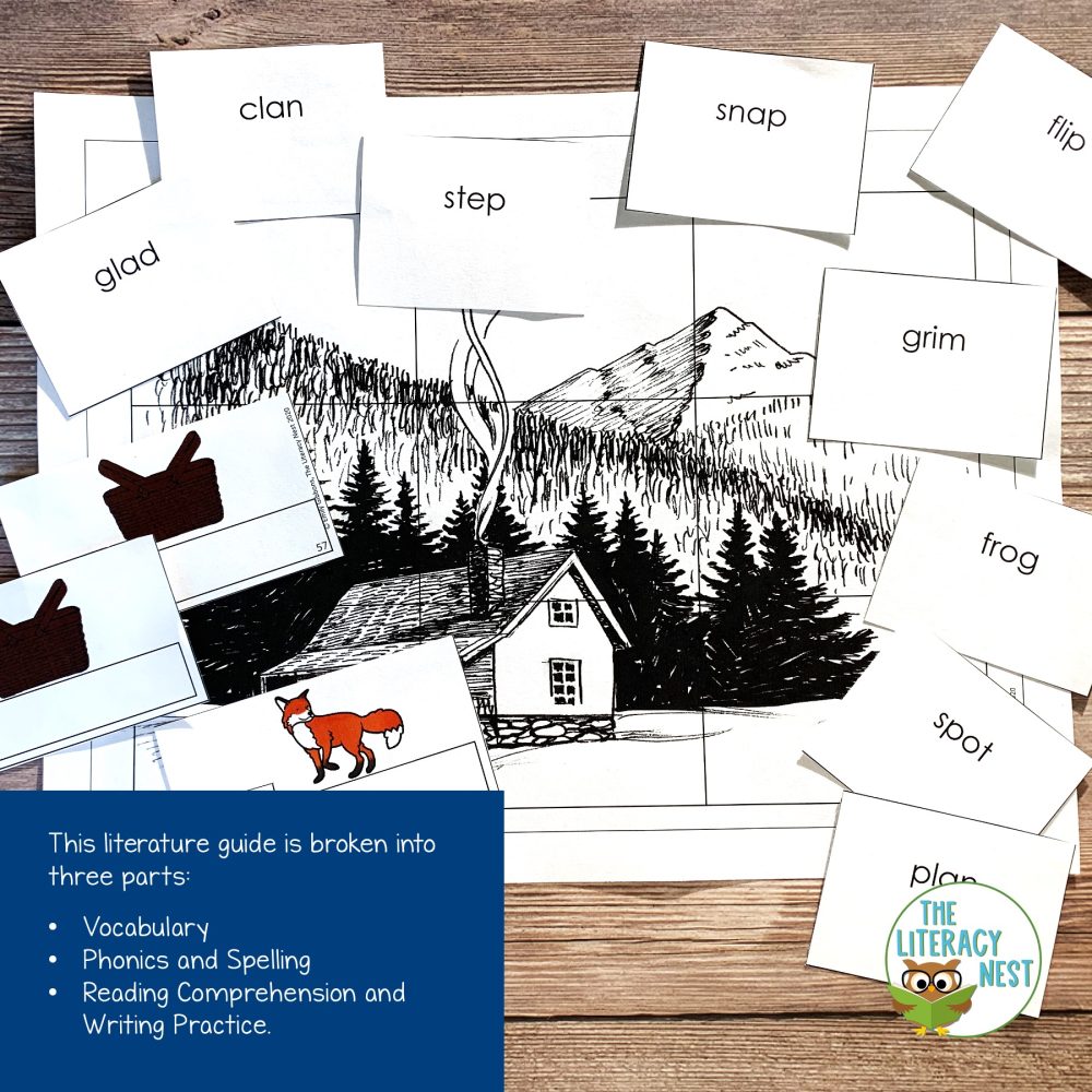 Book Companion Activities for Fox Hunt Decodable Reader - The Literacy Nest