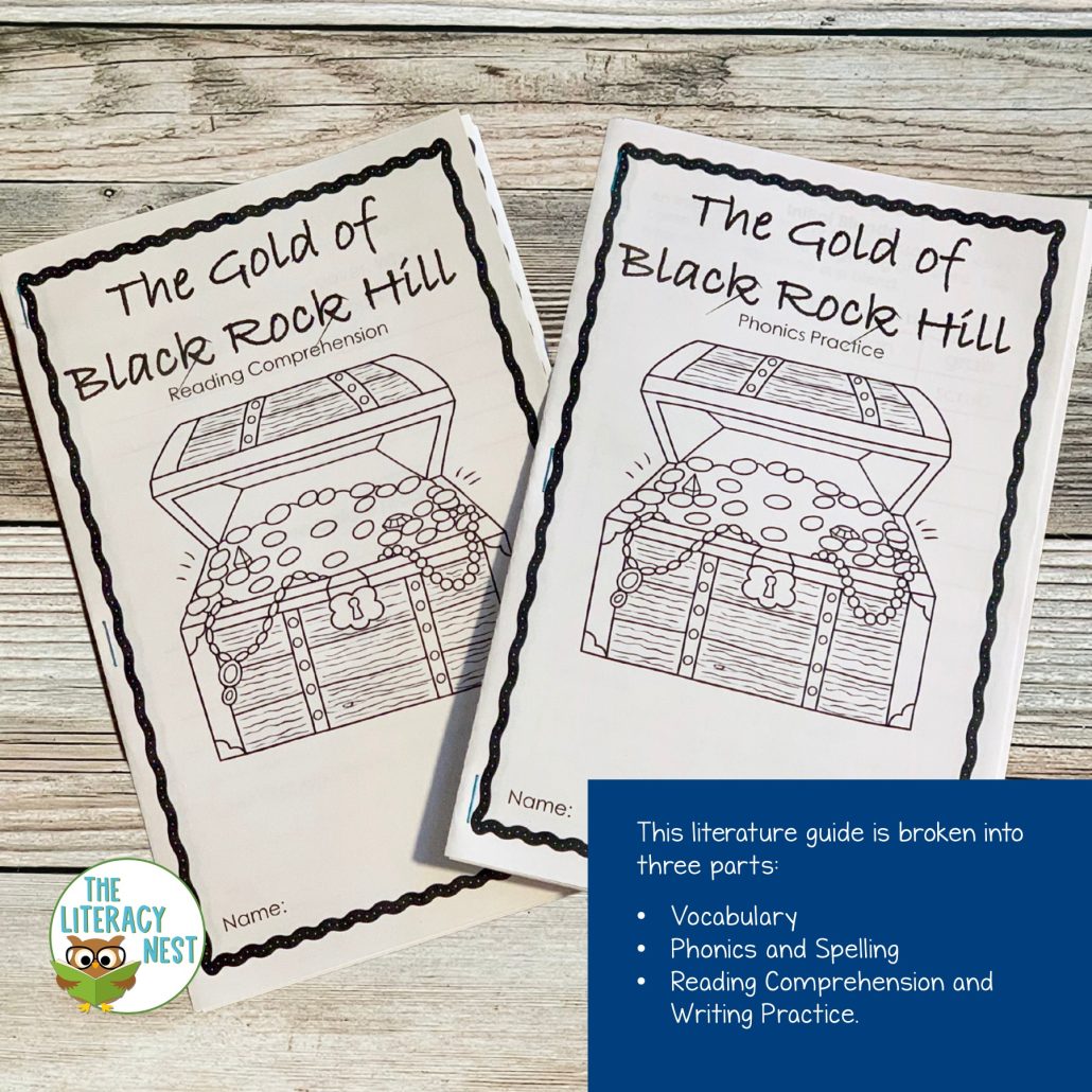 Book Companion Activities for The Gold of Black Rock Hill Decodable ...