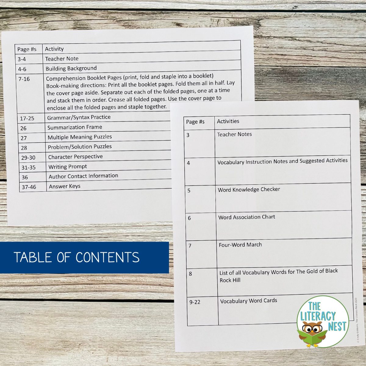 Book Companion Activities for The Gold of Black Rock Hill Decodable ...