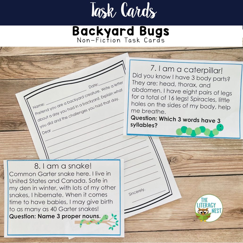 Task Cards: Insects - May Literacy Center Activity - The Literacy Nest