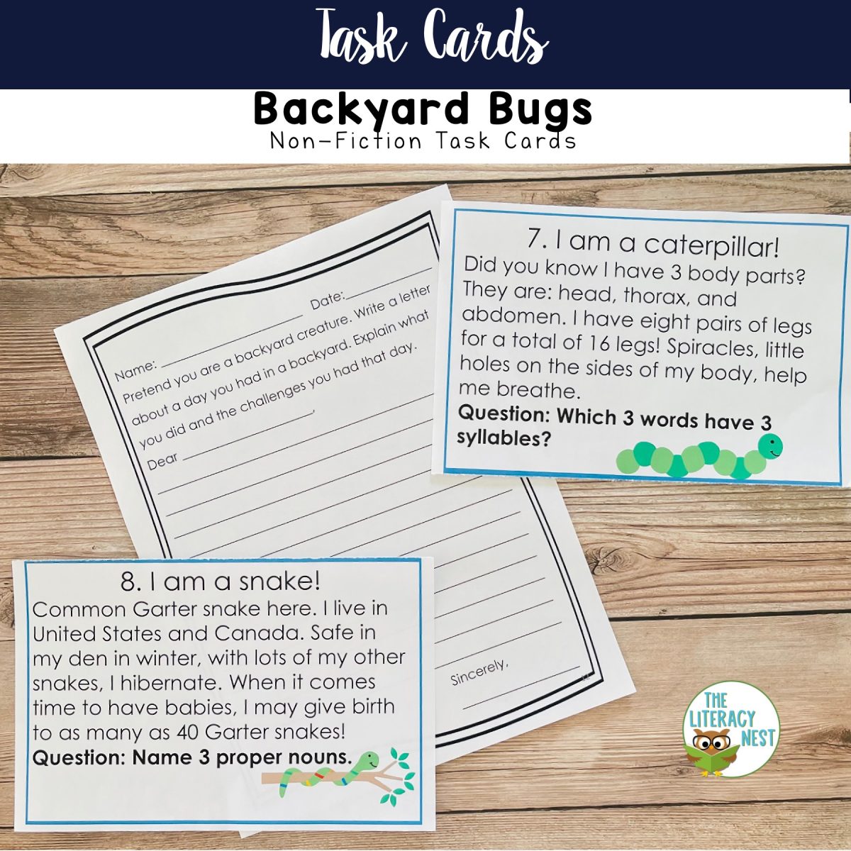 Task Cards: Insects - May Literacy Center Activity - The Literacy Nest