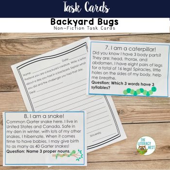 Task Cards: Insects - May Literacy Center Activity - The Literacy Nest
