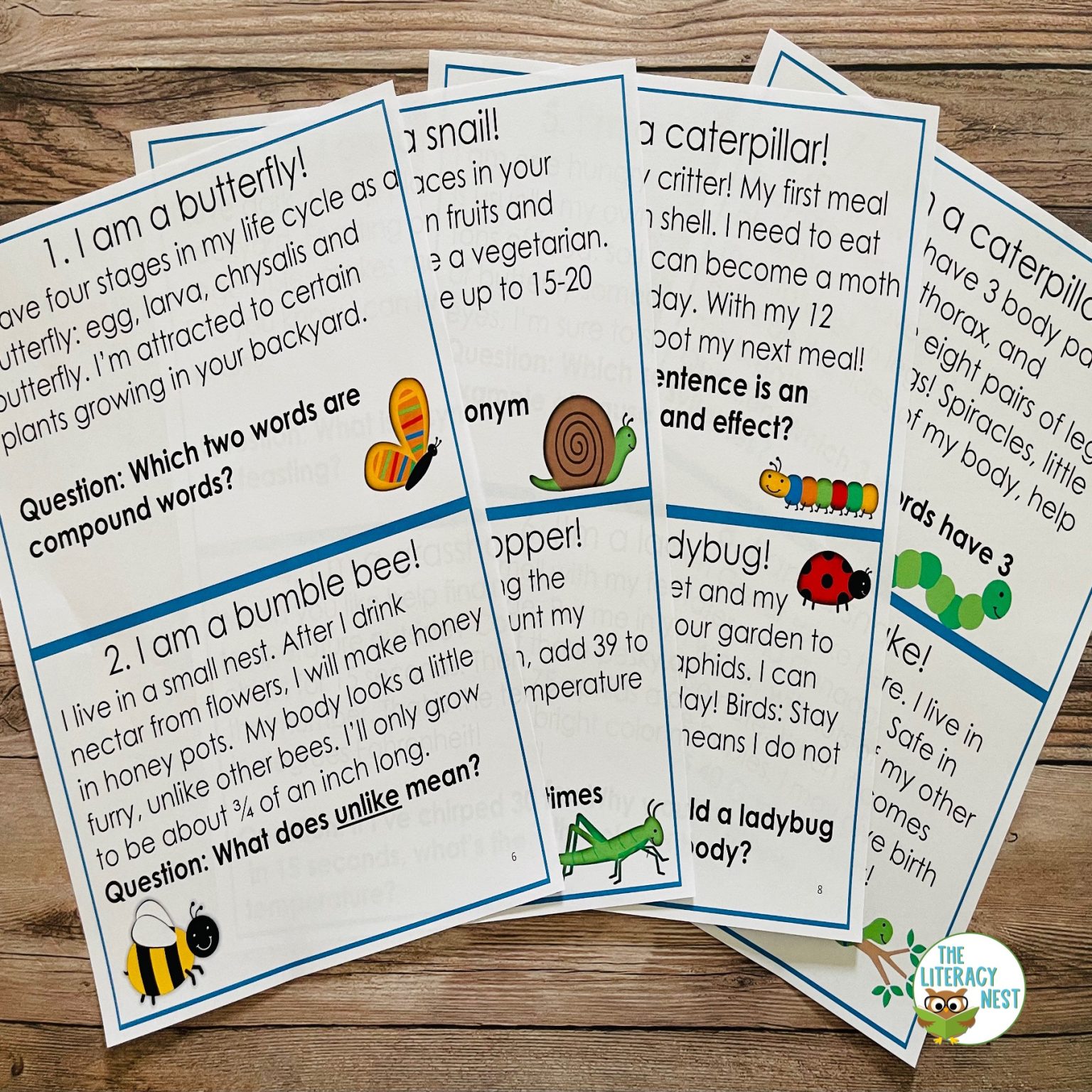 Task Cards Insects May Literacy Center Activity - The Literacy Nest