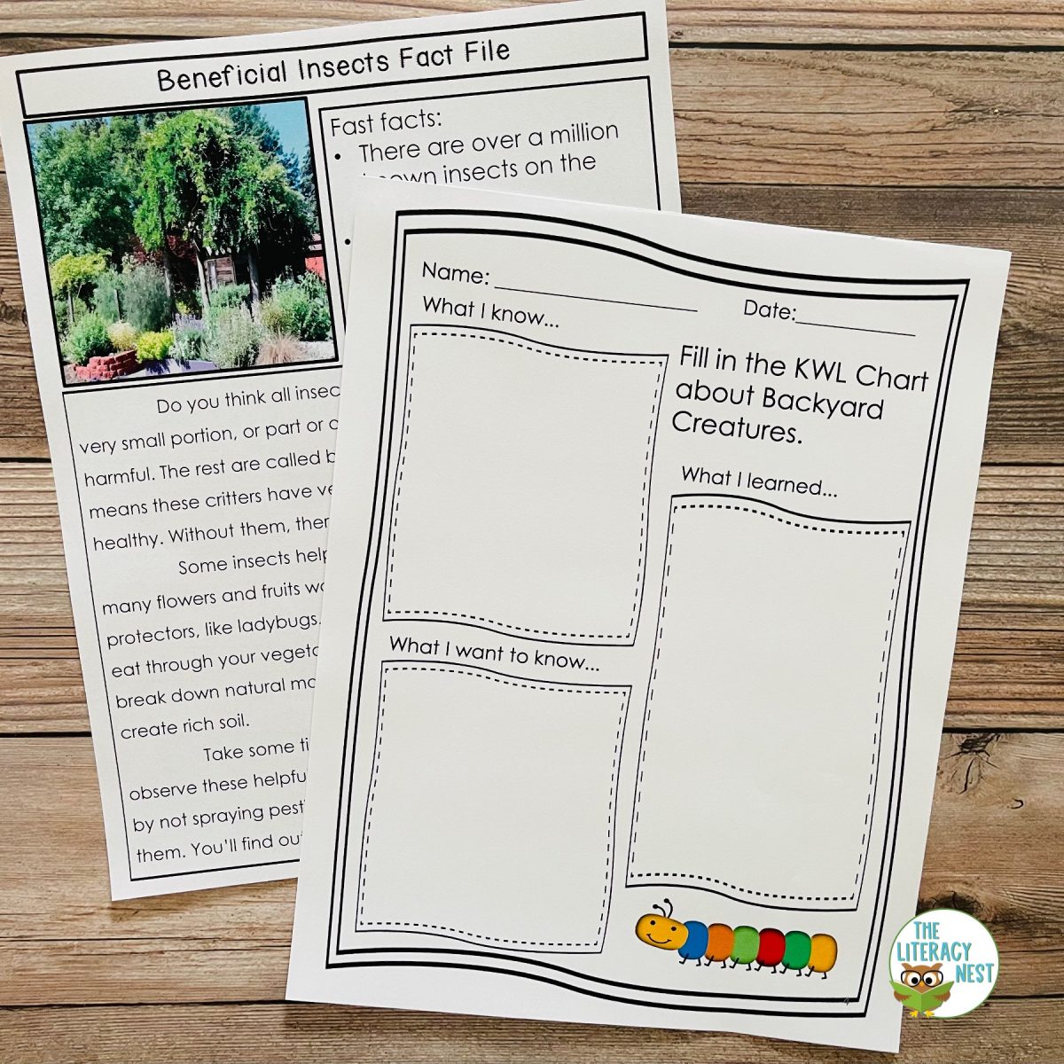 Task Cards Insects May Literacy Center Activity - The Literacy Nest