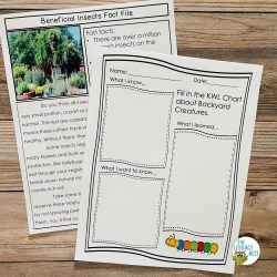 Task Cards Insects May Literacy Center Activity - The Literacy Nest