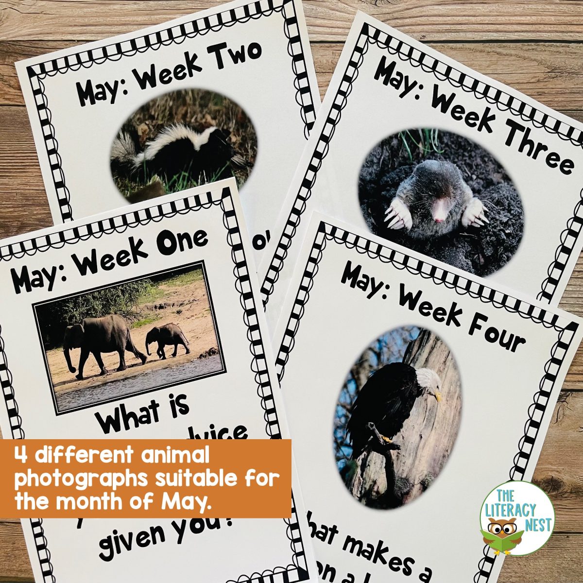 Animal Picture Writing Prompts for May Literacy Centers - The Literacy Nest