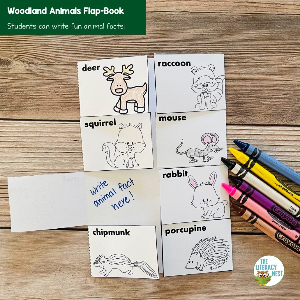 Book Companion Activities for Night Tree by Eve Bunting - The Literacy Nest