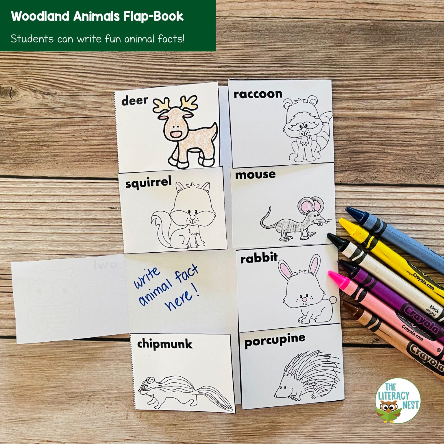 Book Companion Activities for Night Tree by Eve Bunting - The Literacy Nest