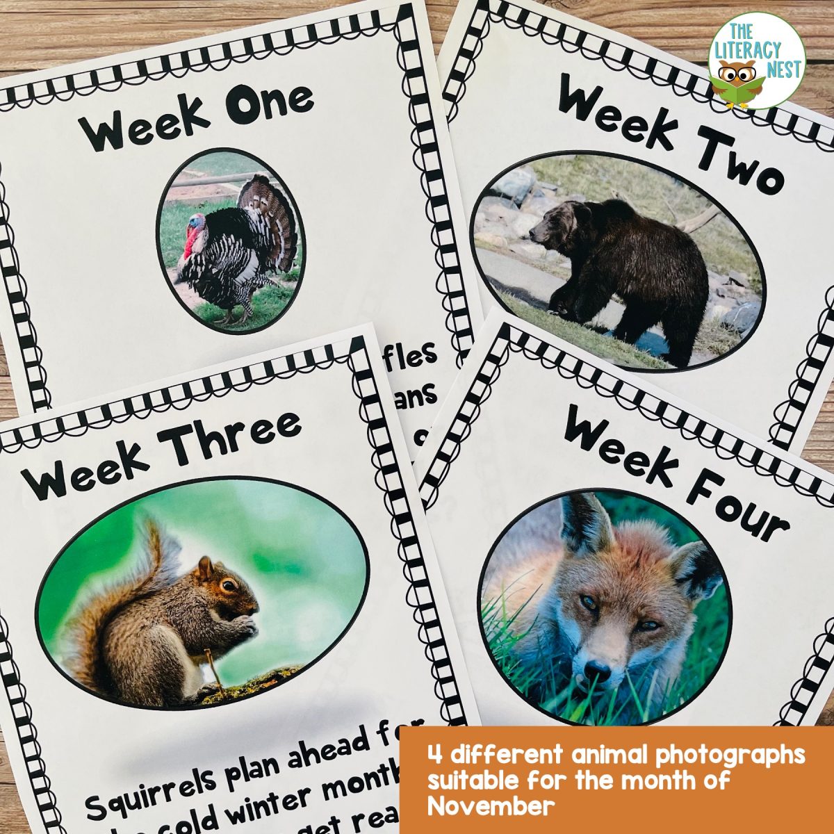 Animal Photo Writing Prompts for November Morning Work & Literacy ...