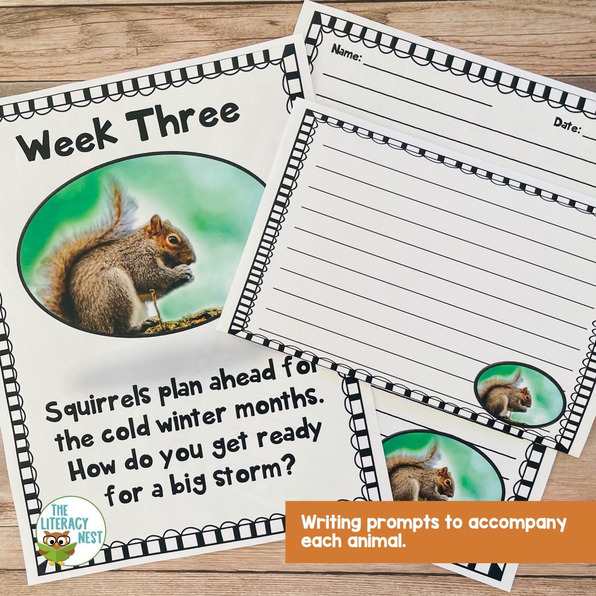 Animal Photo Writing Prompts for November Morning Work & Literacy ...