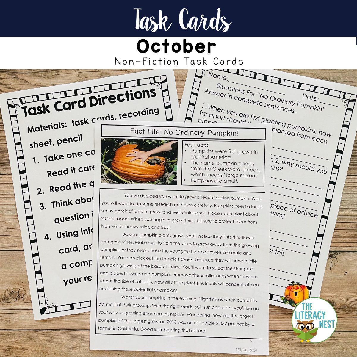 Task Cards: Informational Text Pumpkins - The Literacy Nest