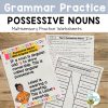 Possessive Noun Practice Worksheets, Posters, Activities & Games - The ...