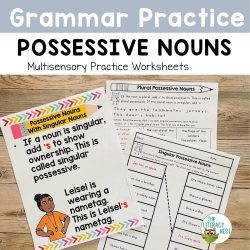 Possessive Noun Practice Worksheets, Posters, Activities & Games - The ...