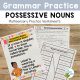 Possessive Noun Practice Worksheets, Posters, Activities & Games - The ...