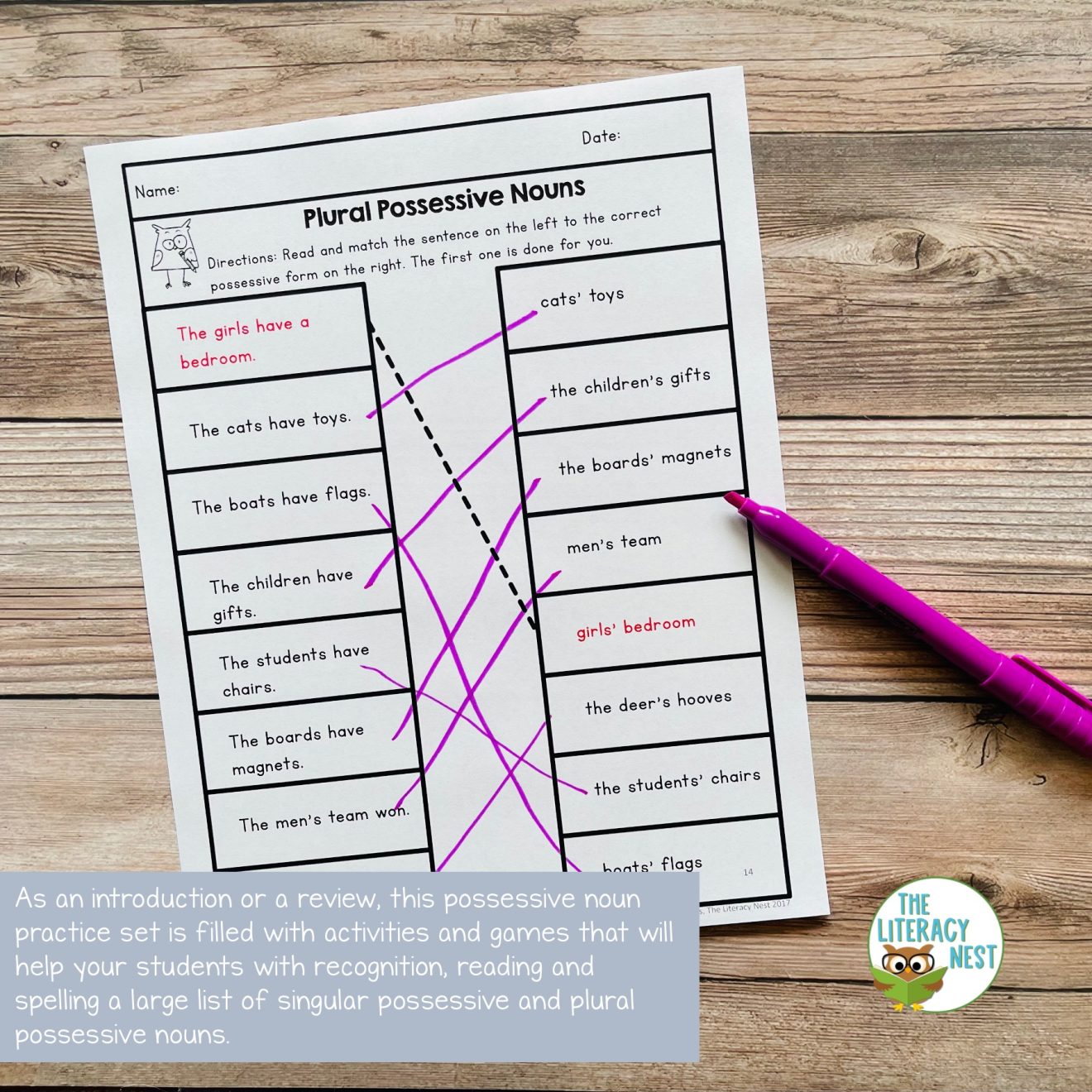 Possessive Noun Practice Worksheets, Posters, Activities & Games - The ...