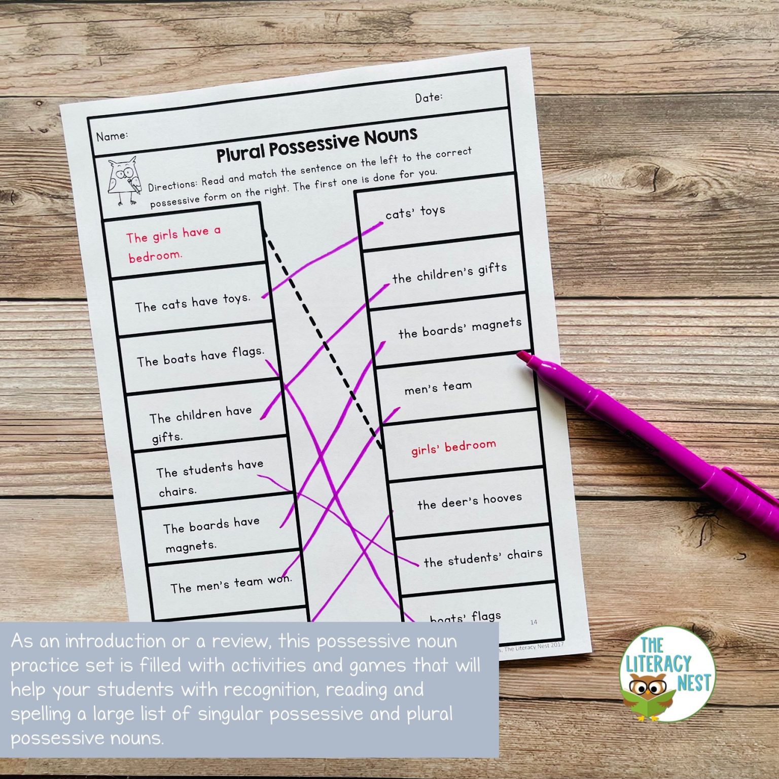 Possessive Noun Practice Worksheets, Posters, Activities & Games - The ...