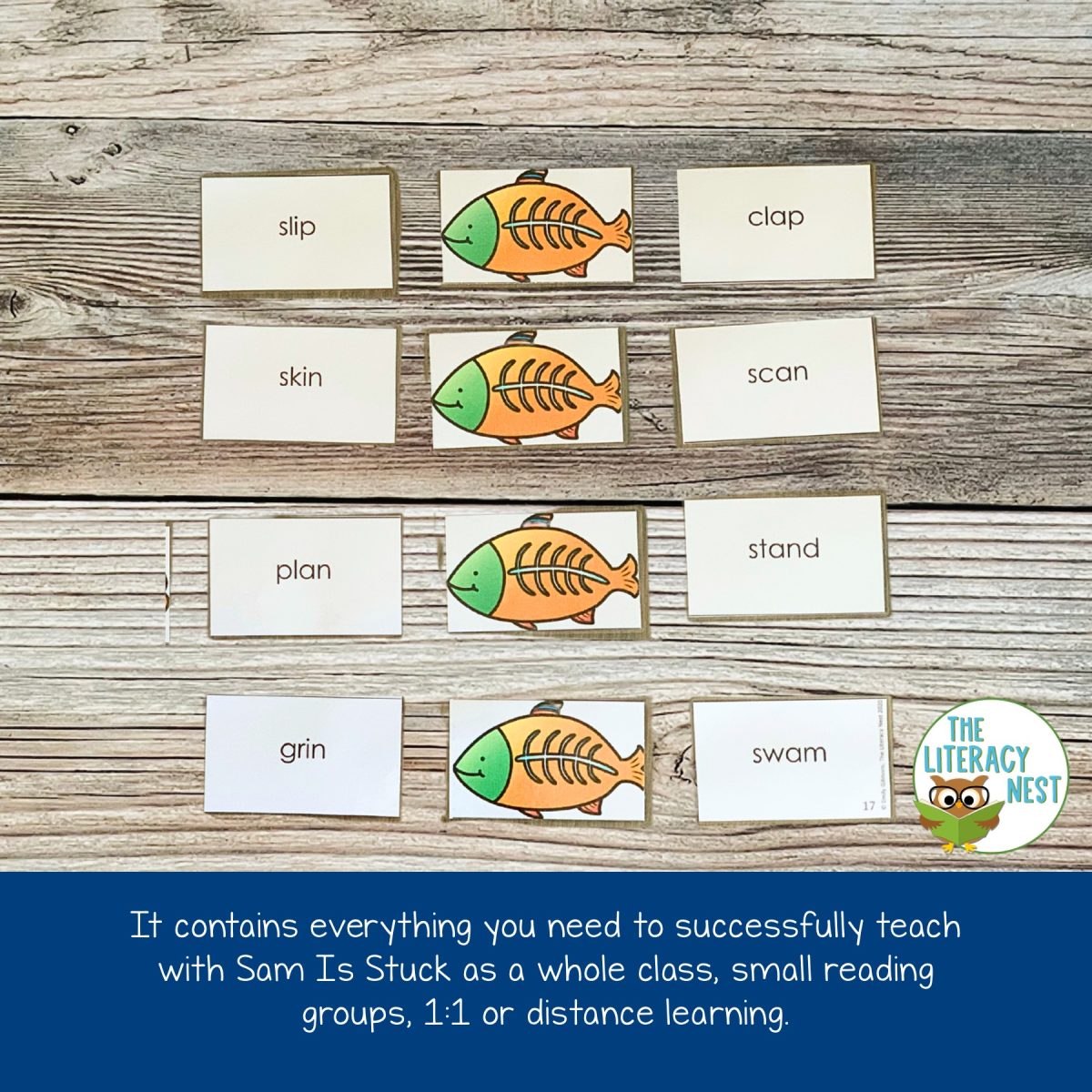 Book Companion Activities for Sam is Stuck Decodable Reader - The ...