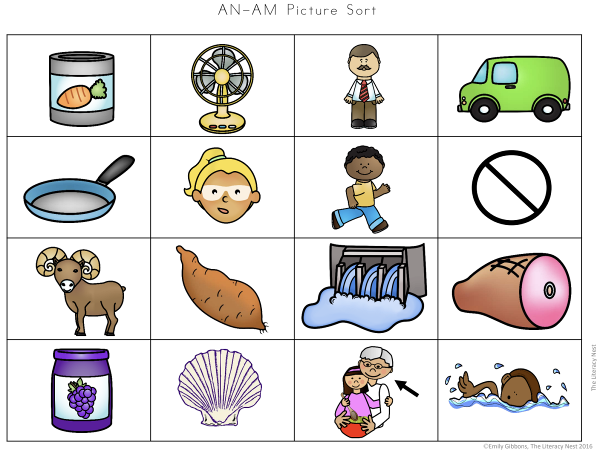 Word Family AN and AM Phonics Activities FREEBIE - The Literacy Nest