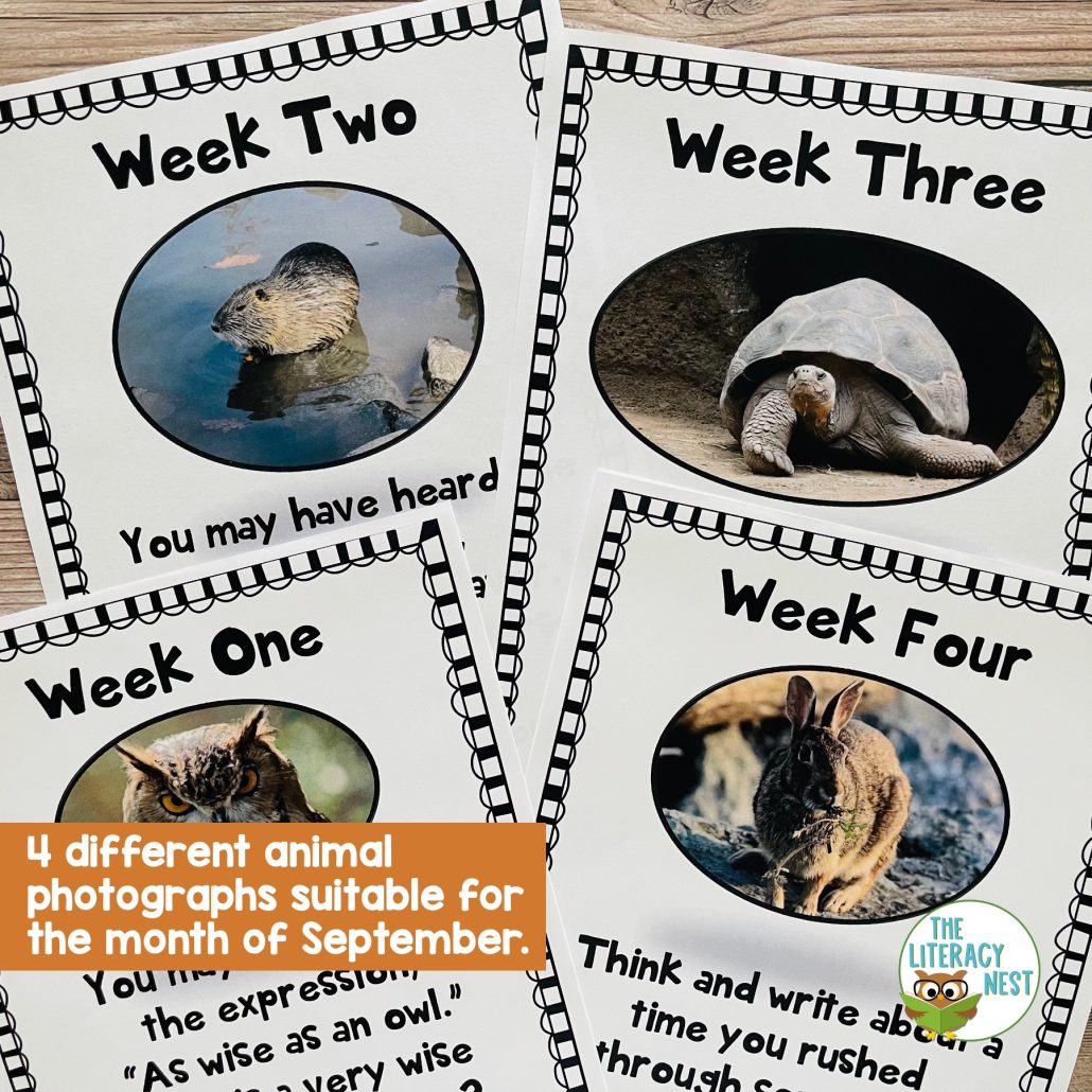 Animal Picture Prompts Literacy Activities for September Literacy ...