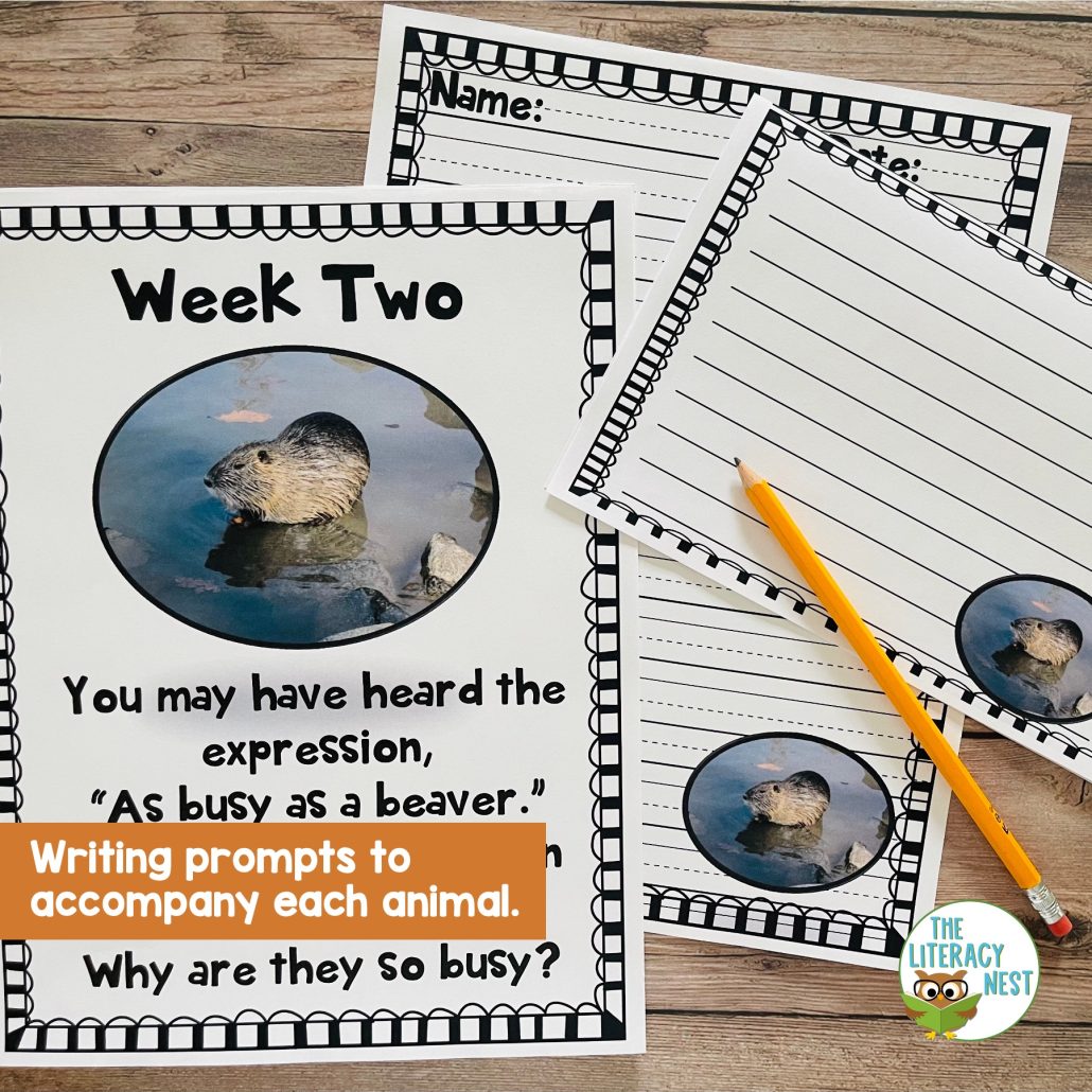 Animal Picture Prompts Literacy Activities for September Literacy ...