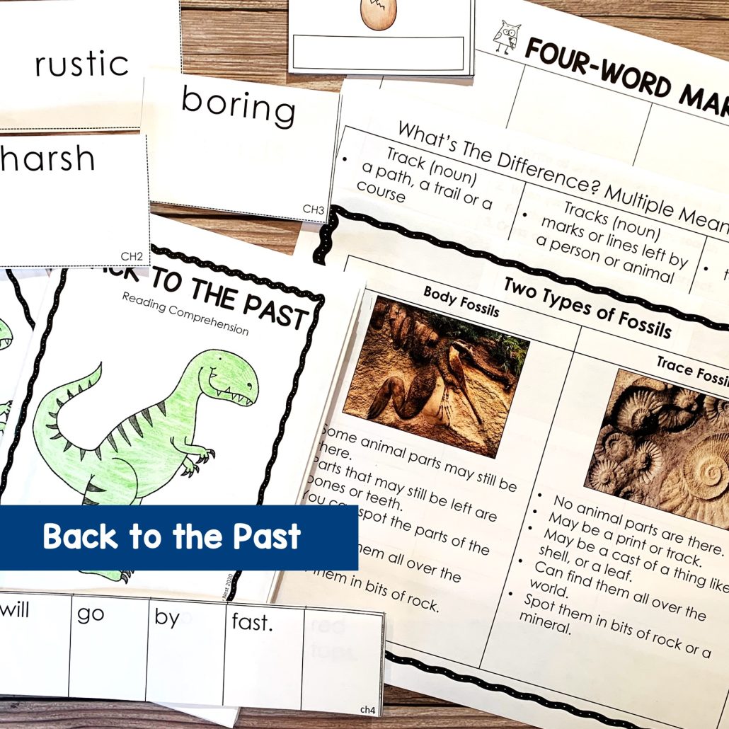 Book Companion Activities for Simple Words Decodable Readers Bundle ...