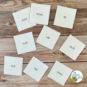 Book Companion Activities for Simple Words Decodable Readers Bundle ...