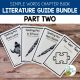 Book Companion Activities for Simple Words Decodable Readers Bundle ...