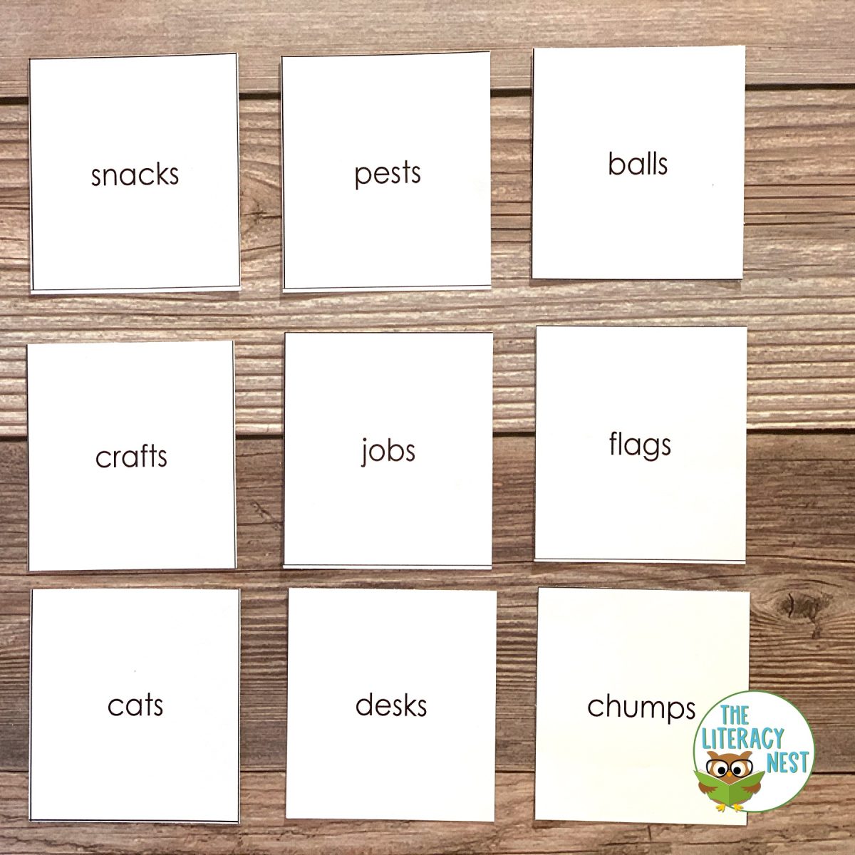 Book Companion Activities for Six Days at Camp Decodable Reader - The ...