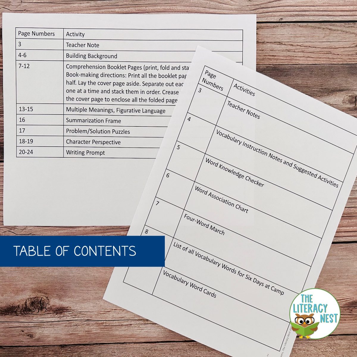 Book Companion Activities for Six Days at Camp Decodable Reader - The ...