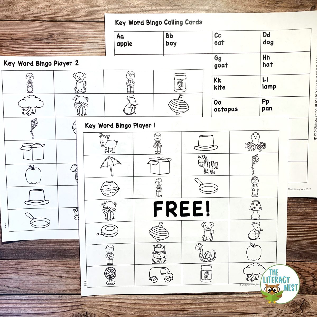 Alphabetic Principle for Orton-Gillingham Lessons - The Literacy Nest