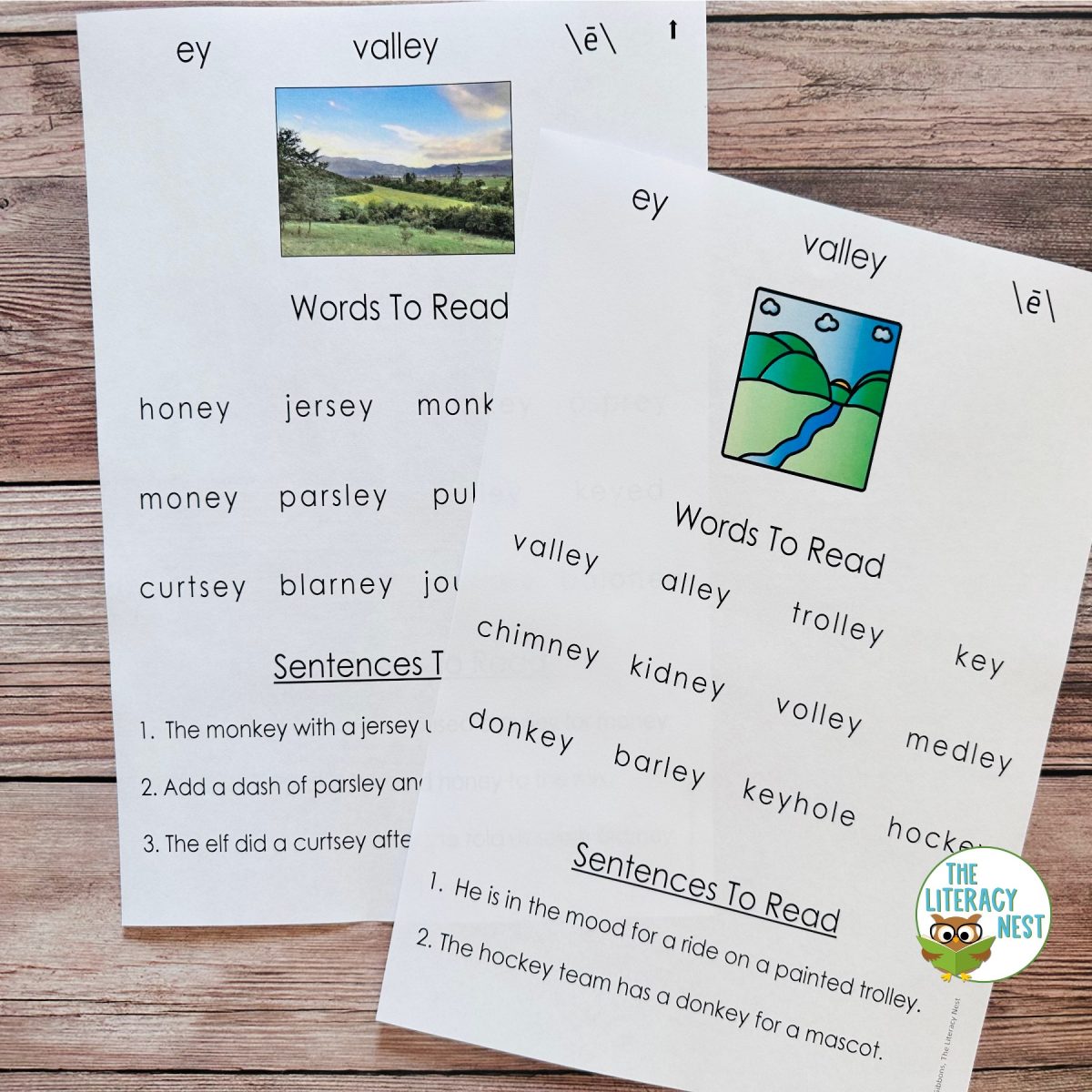 Vowel Team EY Long E Phonics Activities for Orton-Gillingham Lessons ...