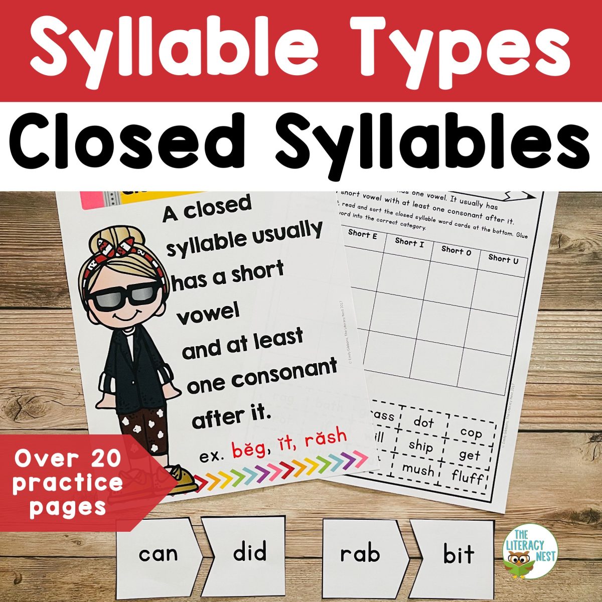 Closed Syllable Activities for Small Group Reading w Orton Gillingham ...