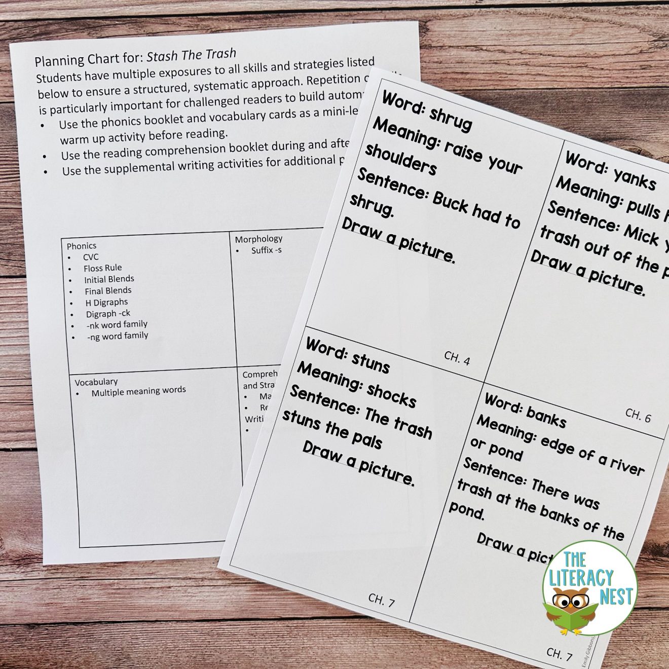 Book Companion Activities for Stash the Trash Decodable Reader - The ...