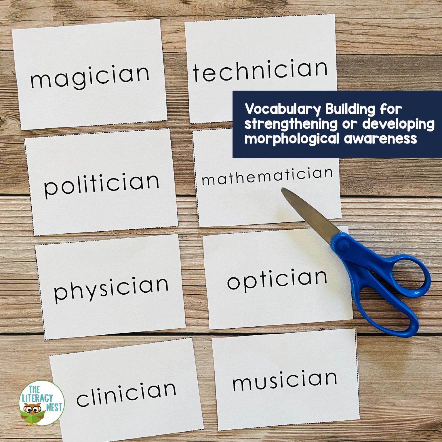 Suffix -IAN for Advanced Orton-Gillingham Activities - The Literacy Nest