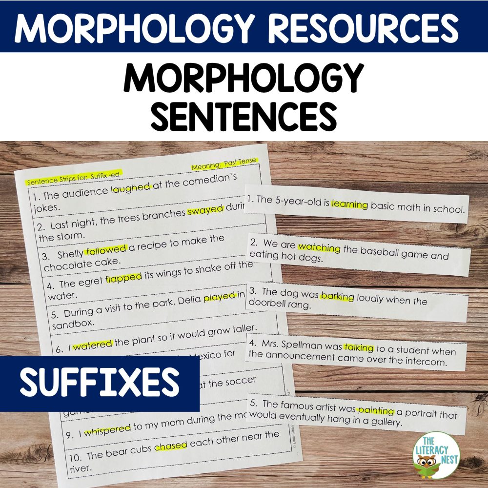 Morphology Sentences Inflectional & Derivational Suffixes - The ...