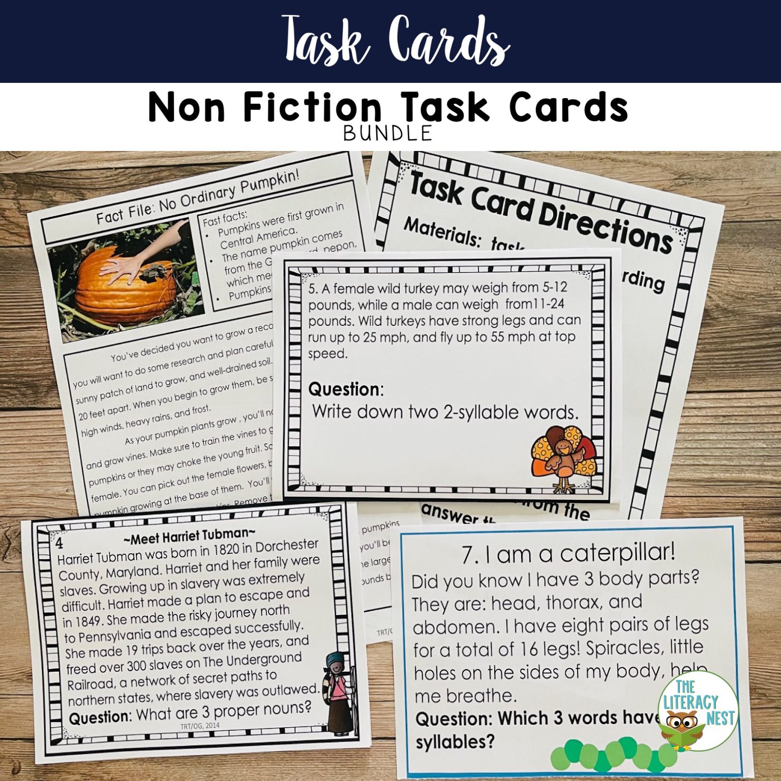 Literacy Centers: August | Animal Picture Prompts Literacy Activities ...
