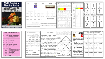 Vowel Teams OO Worksheets and Activities for Orton-Gillingham Lessons ...