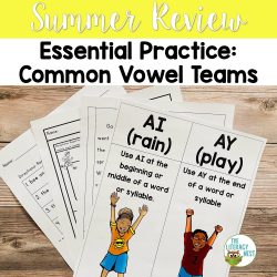 Vowel Team: UI Variant Vowels | Orton-Gillingham Multisensory Phonics ...
