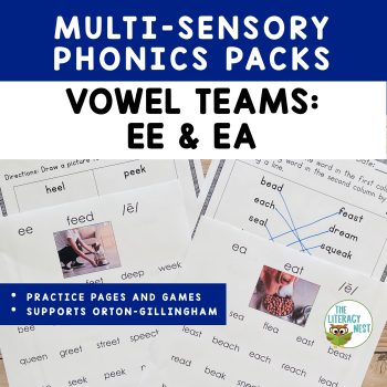 Summer Review: Vowel Teams and Diphthongs Phonics Activities and ...