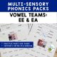 Summer Review: Vowel Teams and Diphthongs Phonics Activities and ...